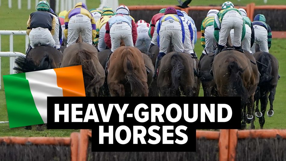 Three horses who will thrive in testing ground at the Dublin Racing ...