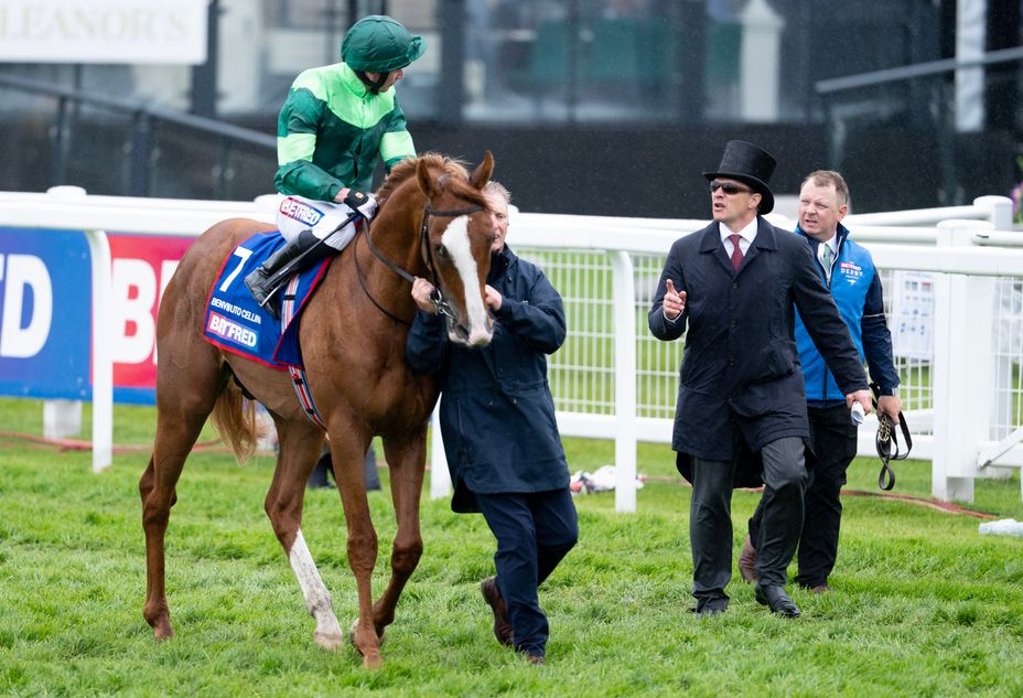 'Fix it now!' - pro punter's desperate call to action as BHA doubles ...