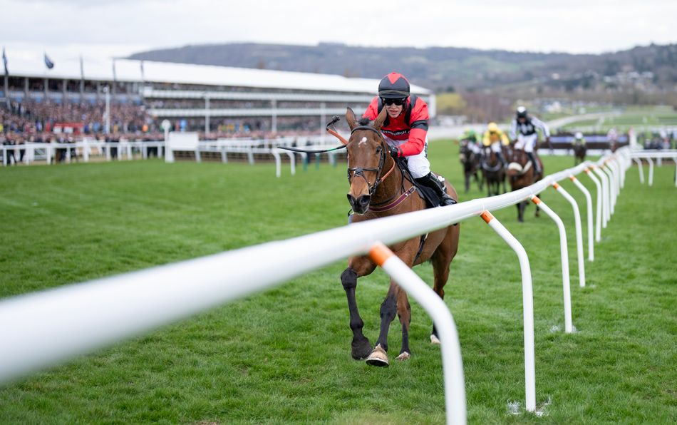 Elation for burgeoning breeder Jack Fogarty after Myretown's Cheltenham ...