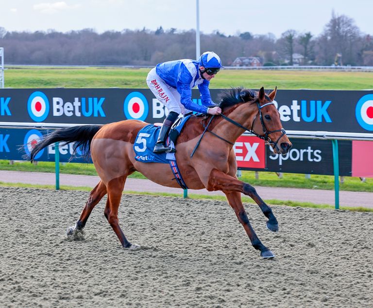 John Gosden: having the Winter Derby over a mile and three isn't a lot ...