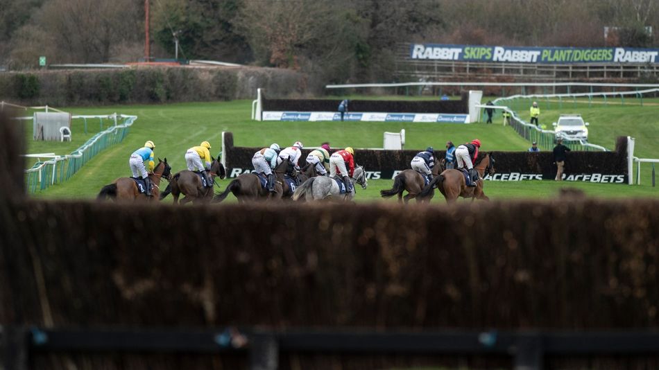'We've no time for improvement' - Fontwell's card cancelled after ...