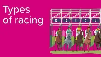 Types of Horse Races - Guide to Horse Racing | Racing Post