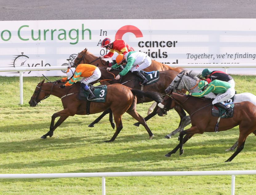 Why this Curragh regular can see them all off and break his two-year ...
