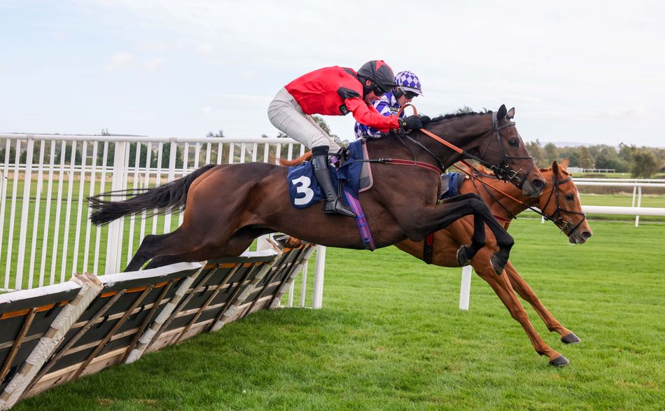 Another jumper in the Ahoy Senor colours is one to watch after novice ...