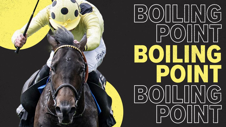 'We're confident he’s come forward' - can Bold Style reverse form with ...