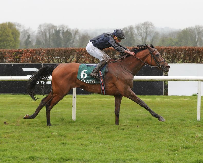 Ease in ground forces Aidan O'Brien rethink as Emily Dickinson bids for ...