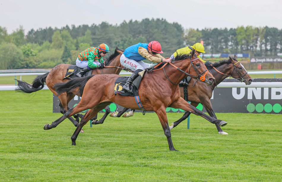 'We'll have a look at a trial after that' - Opportunity knocks for ...