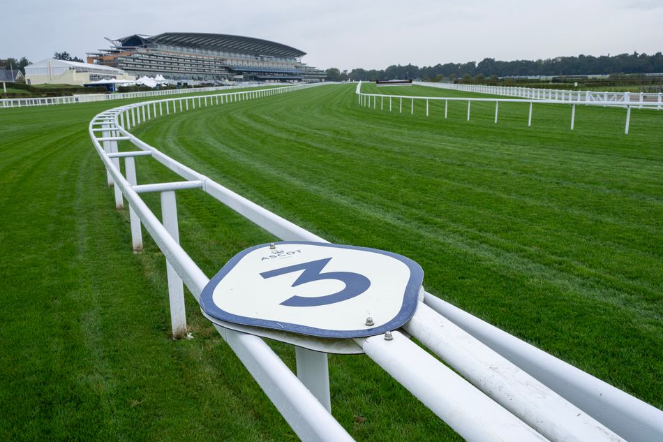 Peter Scargill - Journalist Profile - Intelligent Relations