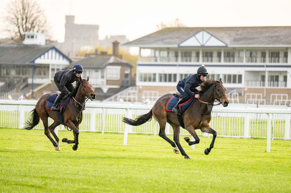 Windsor attracts bumper 171 entries with jump racing set to make a ...
