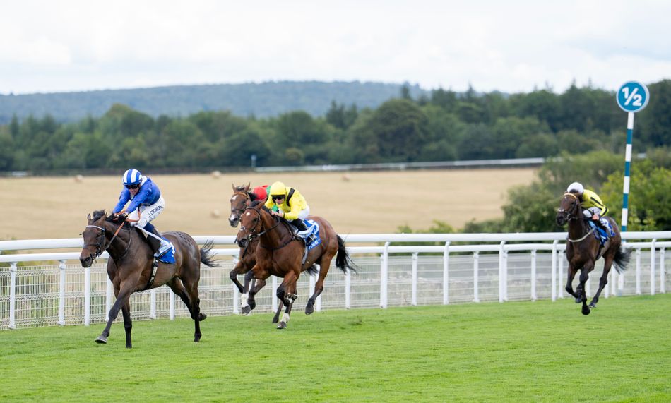 'I've got a lot of affection for this horse' - Al Aasy puts a big smile ...