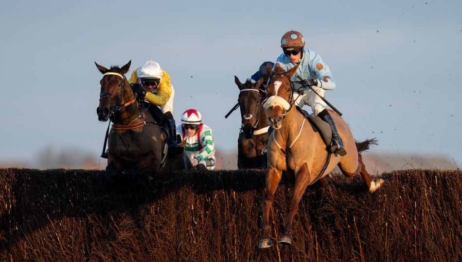 Irish trip on the cards for Don't Rightly Know after Polly Gundry's ...