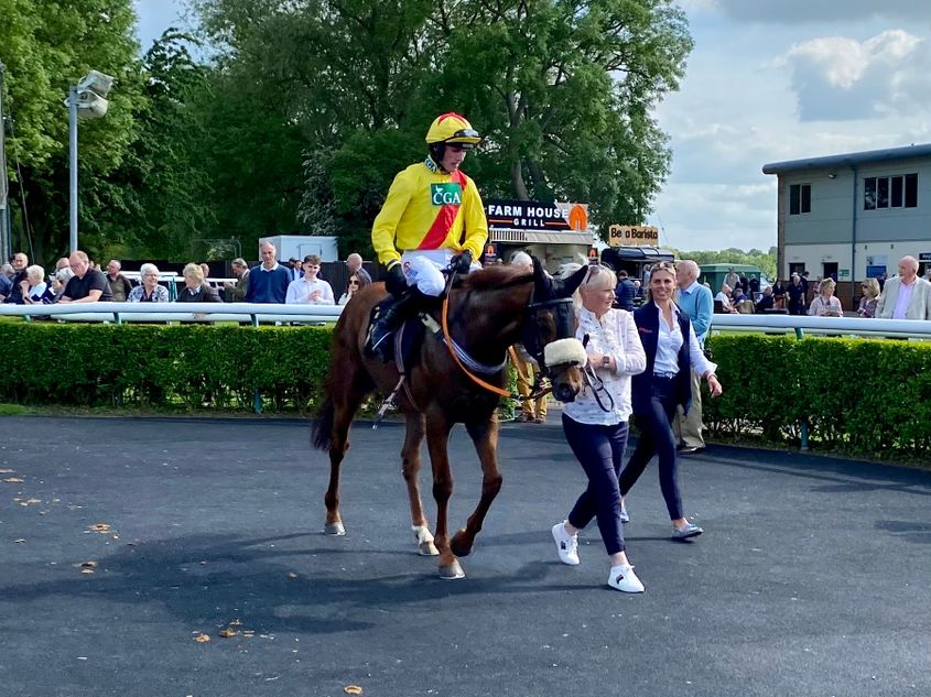 'I'm going to give it a good kick in the summer' - Harry Cobden eyeing ...