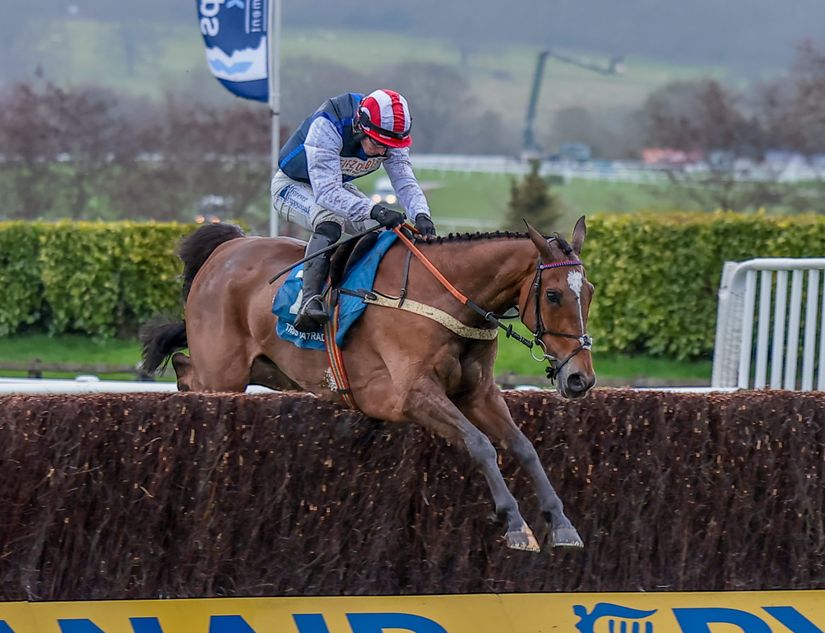 Plate winner Shakem Up'Arry attempts return to winning ways in ...