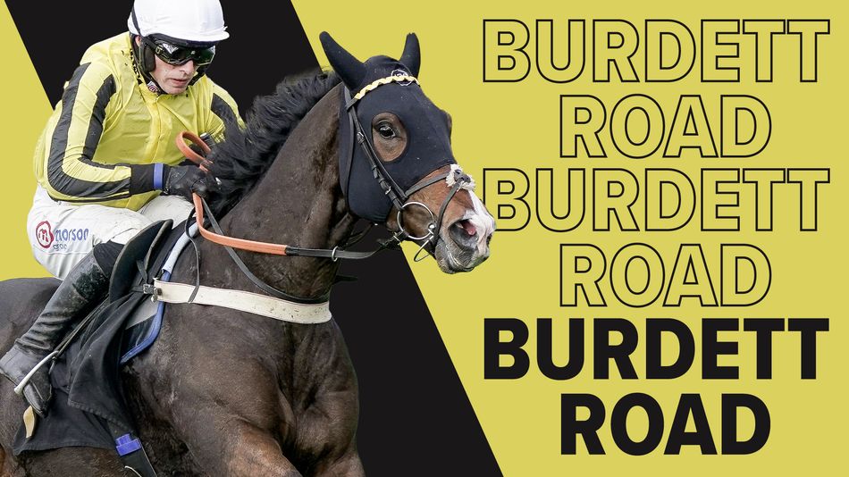 Expert analysis and trainer quotes as Triumph Hurdle favourite Burdett ...