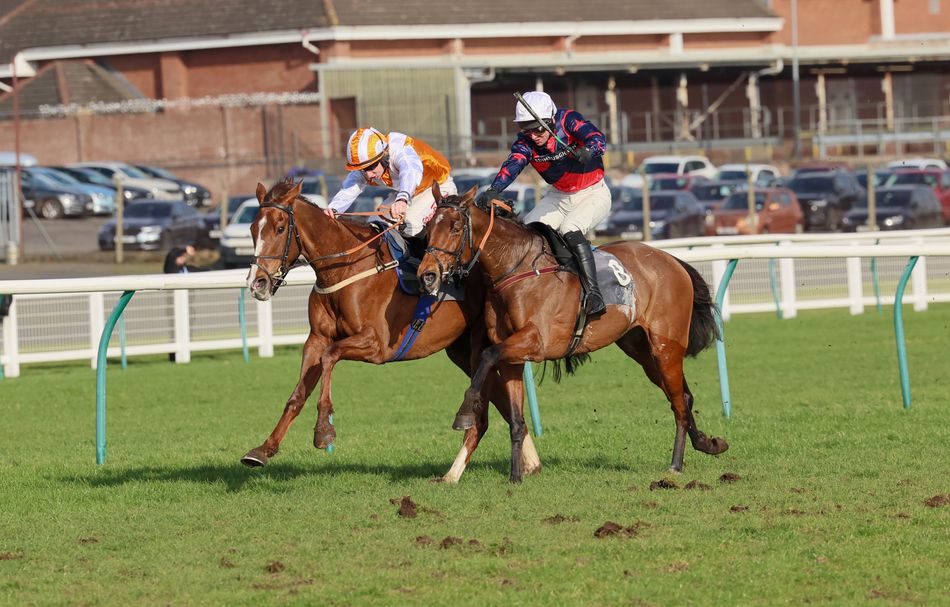 Ruby Island proves her consistency for Nicky Richards to give trainer ...