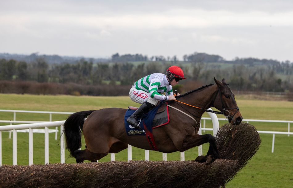 Gordon Elliott hits treble top at Navan as Better Days Ahead leads home ...