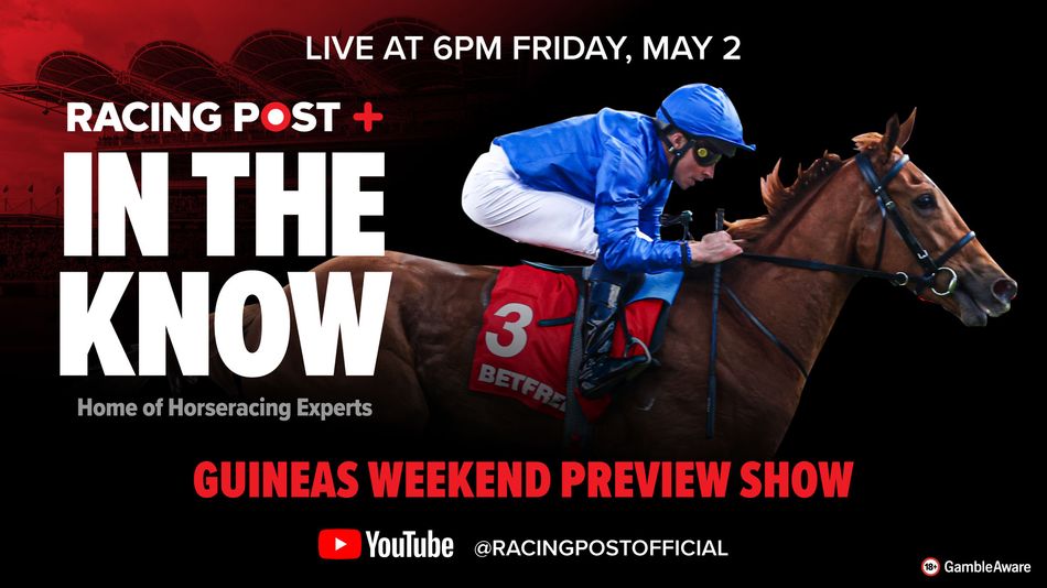 Watch: Tom Segal and Maddy Playle provide their best bets for Guineas ...