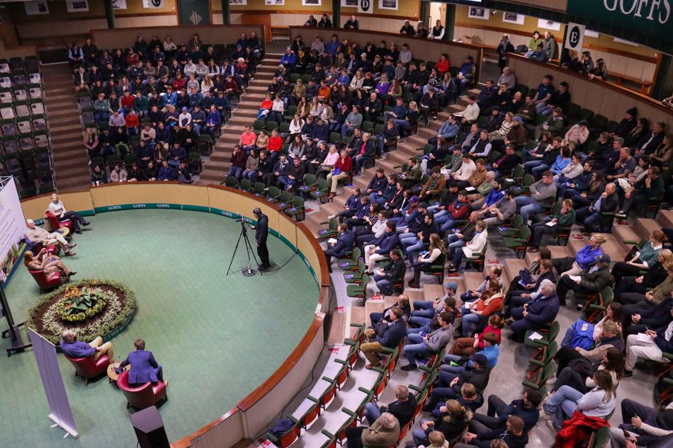 A 'strong appetite' from the ITBA Next Generation crowd as pinhookers ...