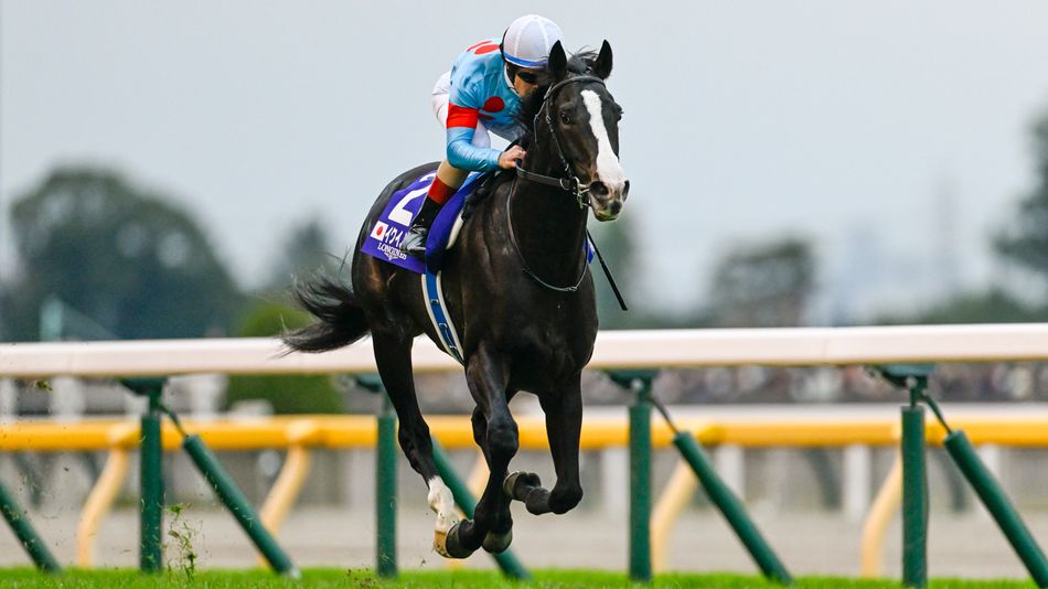 Equinox rated 7lb higher than Ace Impact as Japanese superstar wins ...