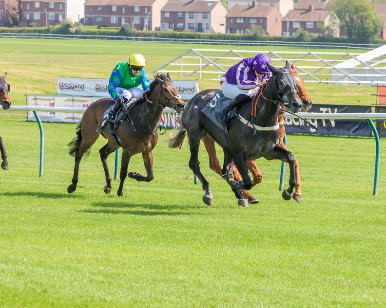 'She's the one I fancied out of the whole yard' - Zebra Star seals ...
