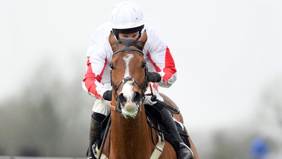 Goshen owner 'optimistic' about Cesarewitch claims but rain needed for ...