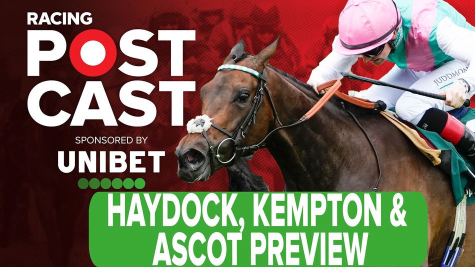 Watch: Graeme Rodway and Robbie Wilders offer their tips for Sprint Cup ...