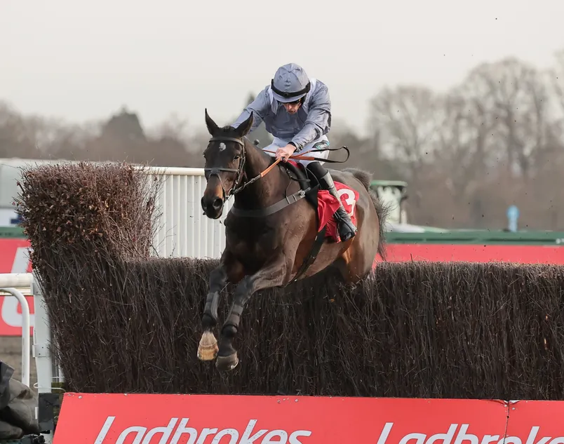 King George the main target for Il Est Francais next season - but he ...