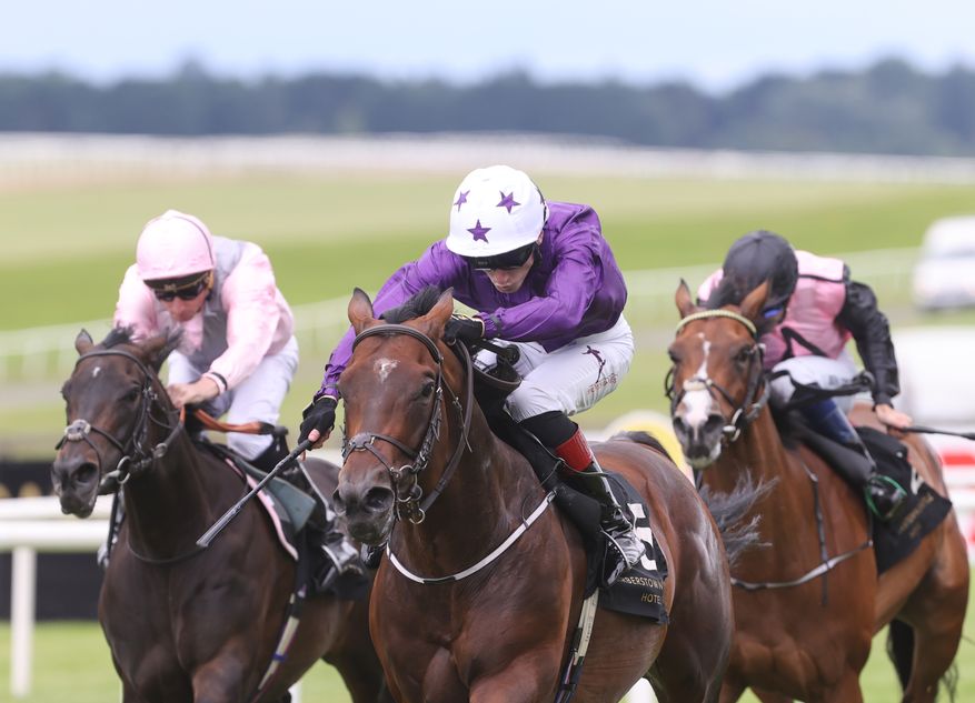 'He's got everything you want in a sprinter' - Nunthorpe next on in ...