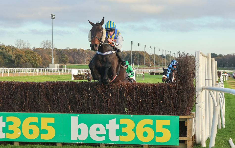 'We could do with another one or two like him' - rank outsider provides ...