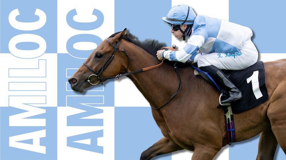 Which middle-distance star will emerge from the King Edward VII Stakes ...