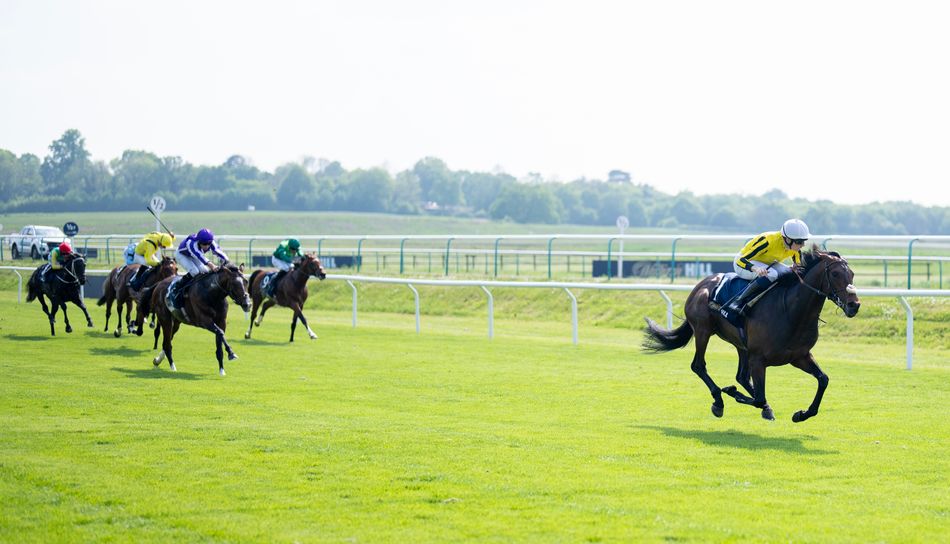 'He's no 33-1 shot' - how do you see the Derby after a week of trials ...
