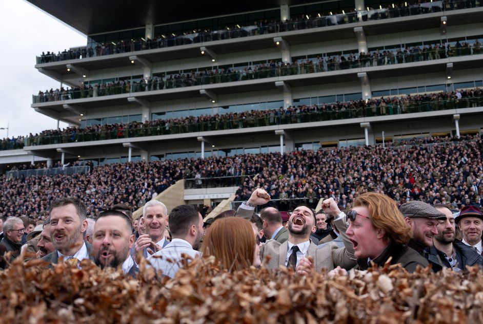 'We're back in growth' - Cheltenham boss expects crowds to top last ...