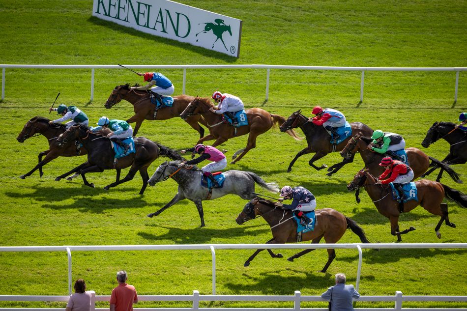 'It's great to get him back on track after Ascot' - the beat goes on as ...