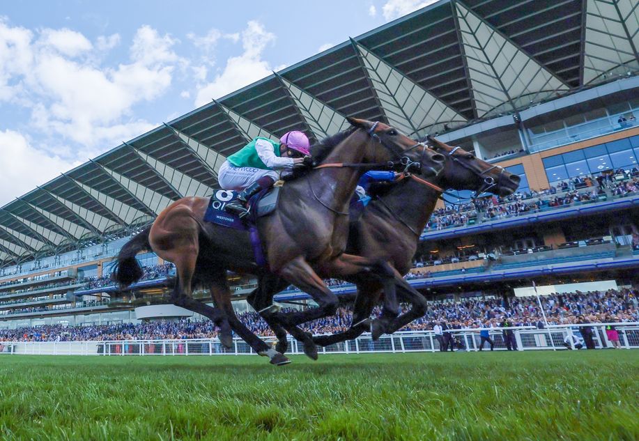 Ascot's King George day proves popular as punters bet £475 million into ...