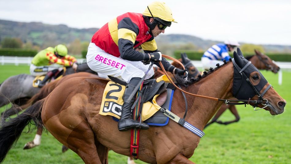 'He's costing me a fortune in polos!' - Knight Salute on the mend from ...