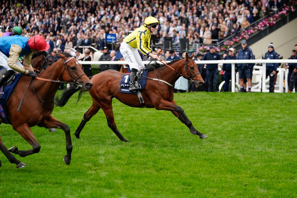 200-1! Powerful Glory produces stunning late surge to become biggest ...