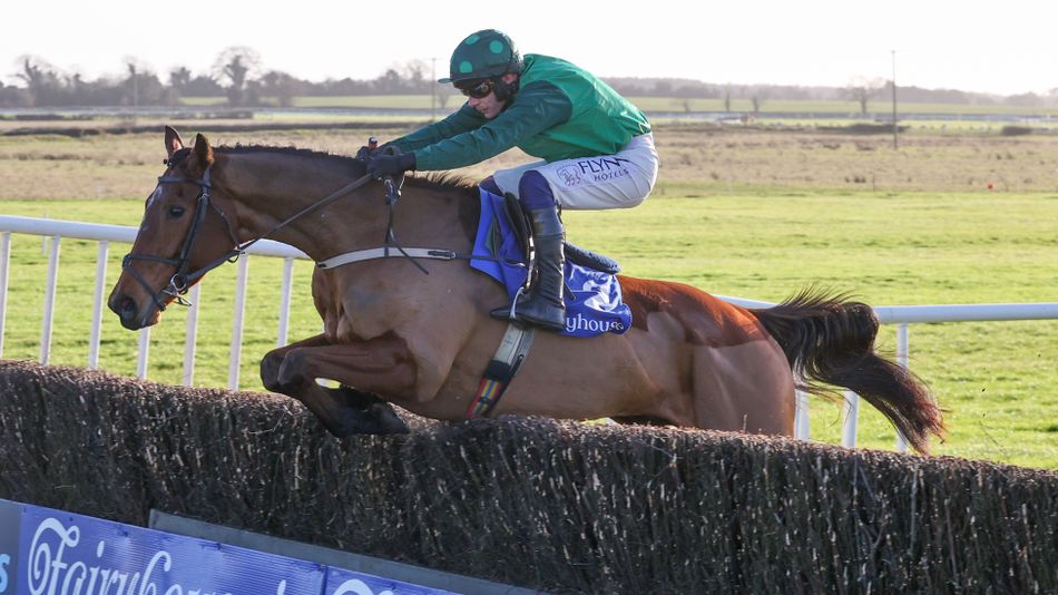 Dublin Racing Festival tips: why this horse can win at Leopardstown ...