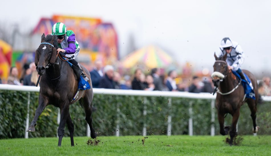 'The owner loves racing' - dream result for King as gamble pays off ...