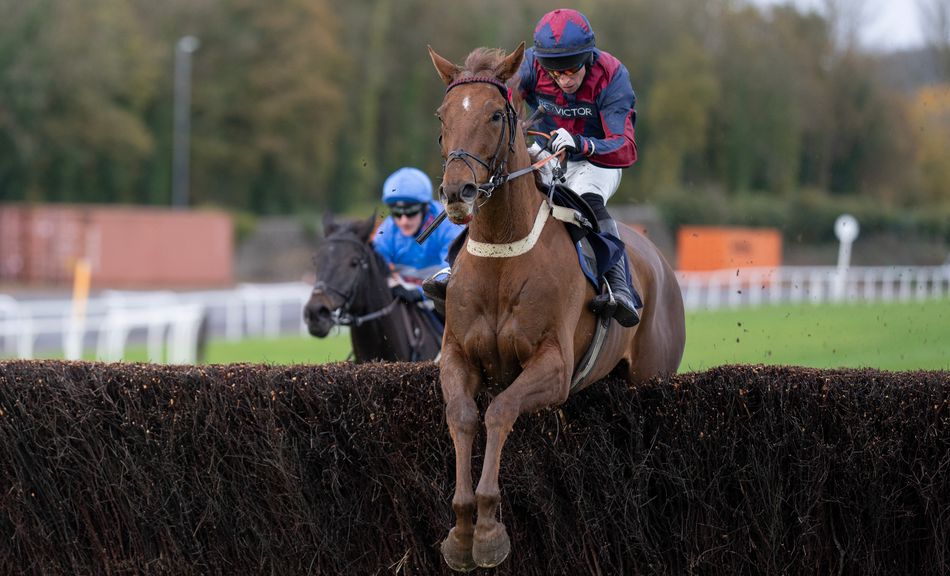 Colonel Harry set Grade 1 target after comfortable chase debut win for ...