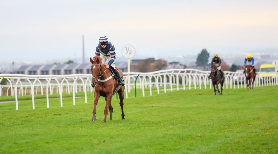 Good Risk At All Defends Unbeaten Record Over Fences Analysis And Key Quotes For Fascinating 