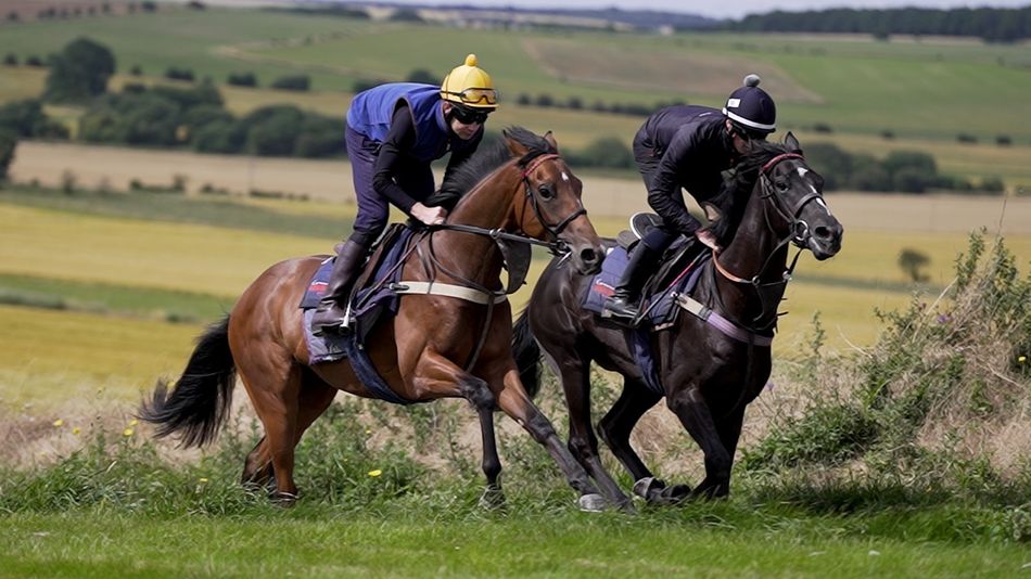 Eve Johnson Houghton pair on target for Super Sprint but trainer ...