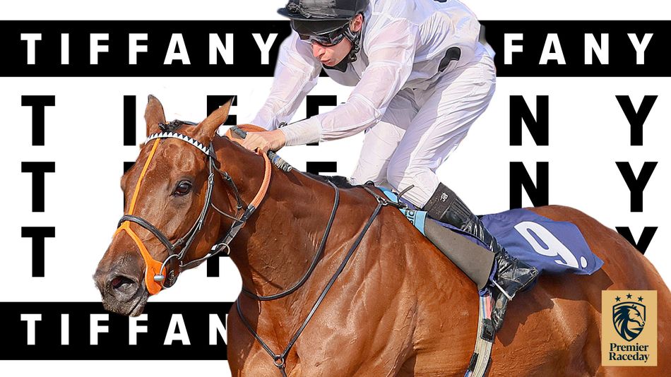 Can Tiffany continue her rapid rise for Sir Mark Prescott in the ...