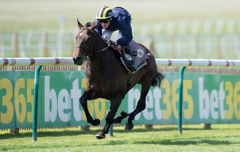 'We're working back from the Arc' - three-time Group 1 winner Hurricane ...