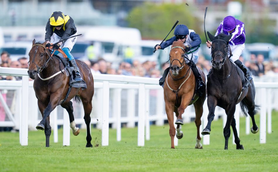 Aidan O'Brien 'not given up on a mile' with Albert Einstein yet - but ...