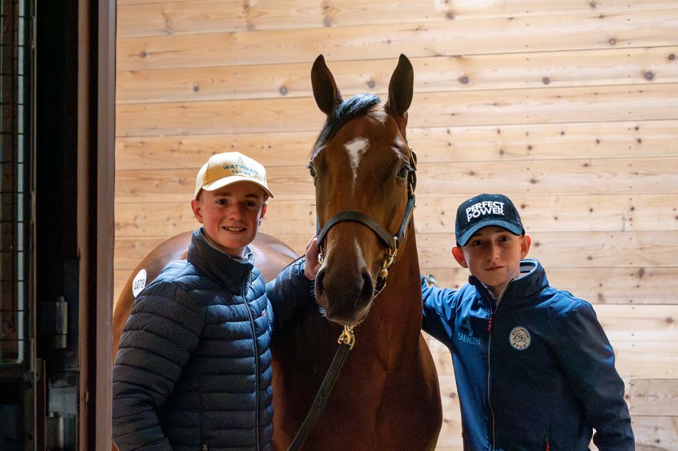 ‘It was a whole bag of emotions!’ - first-time pinhookers Harry and ...