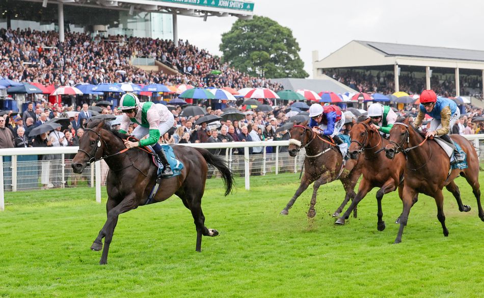 'Professional' Starlust cut to 8-1 (from 16) for Nunthorpe Stakes after ...