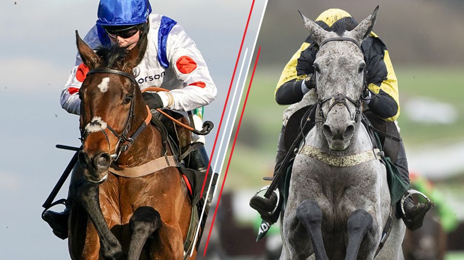 'He has a great chance' - Paul Nicholls expects big things from Hitman ...