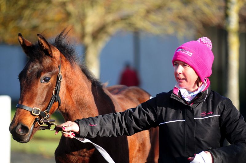 Jacqui Ferris hoping to continue purple patch at the Tattersalls ...