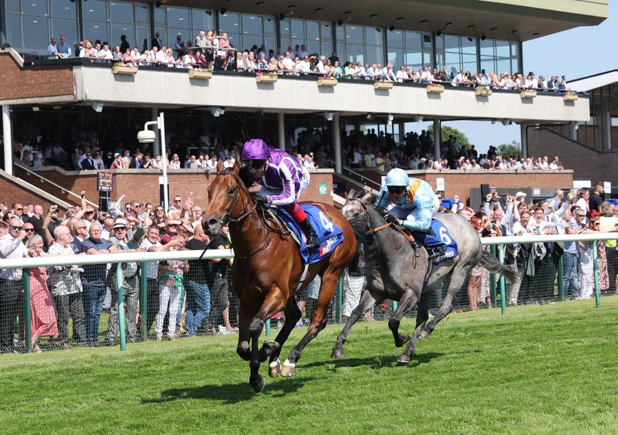 'He was a champion two-year-old, he's got big figures and he's come ...