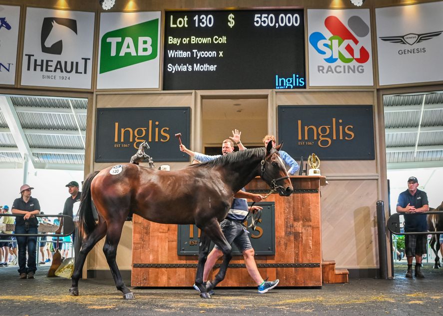 'He was the best colt here' - Crosbys achieve A$550,000 milestone with ...